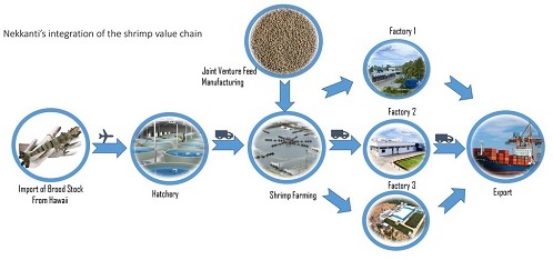 Seafood Media Group - Worldnews - Shrimp exporter buys back shares ...