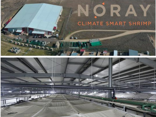Seafood Media Group - Worldnews - Noray plans to triple its production ...