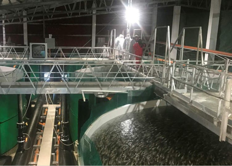 FIS - Companies & Products - Good year for fresh Norwegian cod