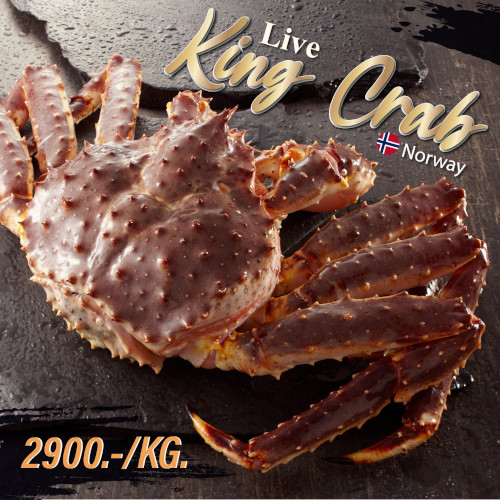 FIS - Companies & Products - Market situation for Norwegian crab and prawn
