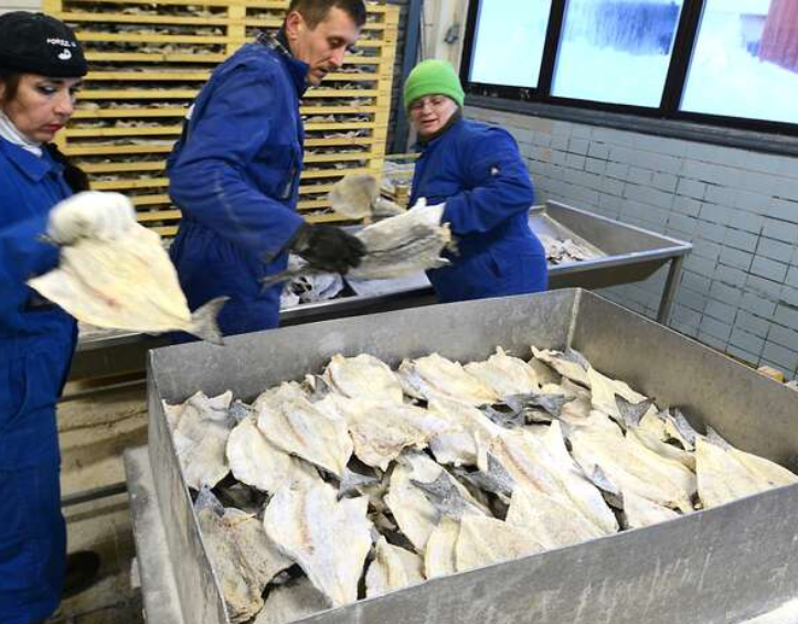 Seafood Media Group - Worldnews - Good year for fresh Norwegian cod