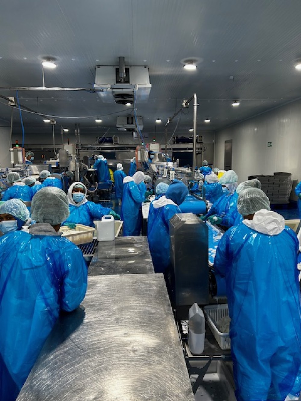 Seafood Media Group - Worldnews - Shaping Sustainability in Peru's ...