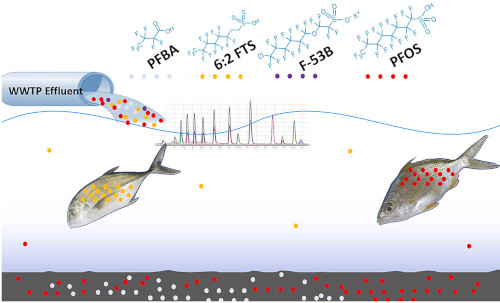 Seafood Media Group - Noticias - Nuevas reglas sobre PFAS: qué se sabe ...