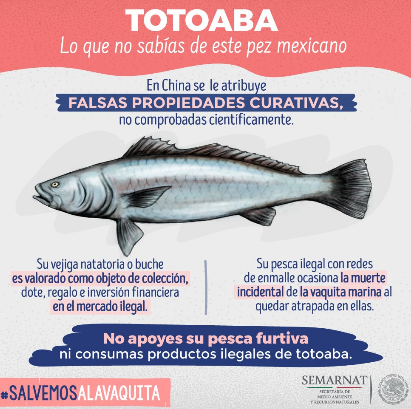 Seafood Media Group - Worldnews - Initiative launched to strengthen ...