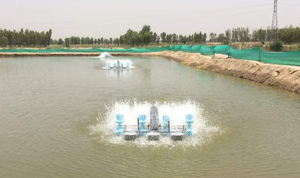 Seafood Media Group - Worldnews - Shrimp farming, exports can help ...