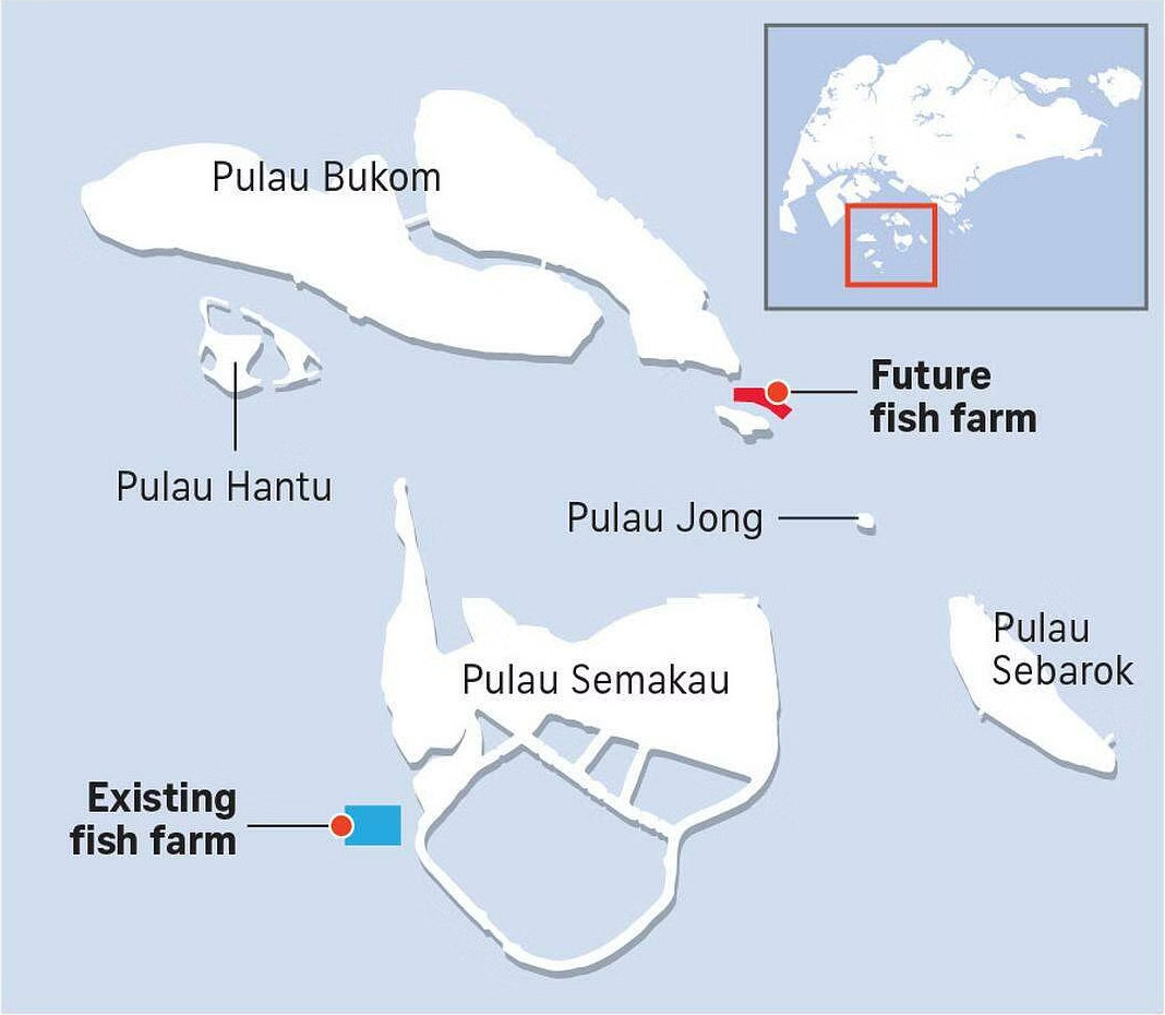 Seafood Media Group - Worldnews - Two lots for new seafood farms in ...