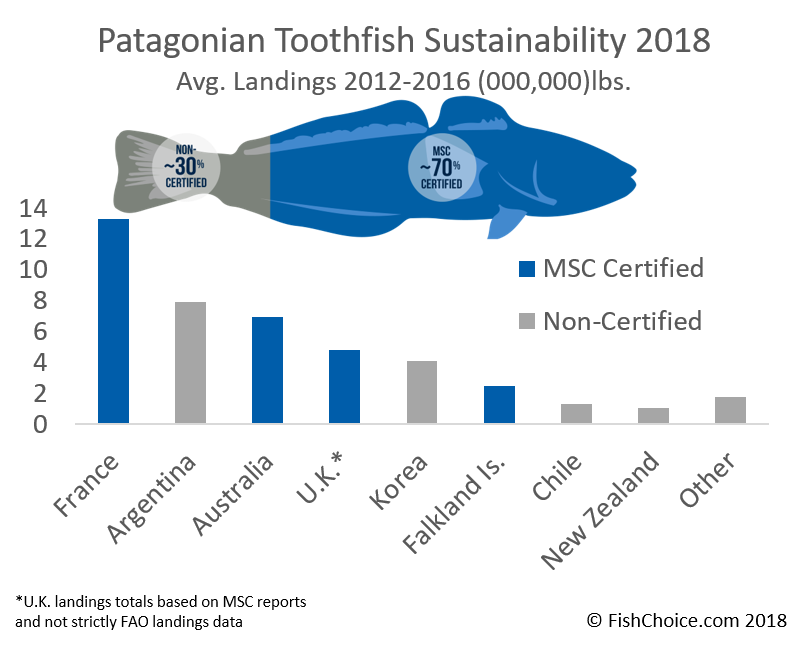 Seafood Media Group - Worldnews - Patagonian toothfish exports surpass ...