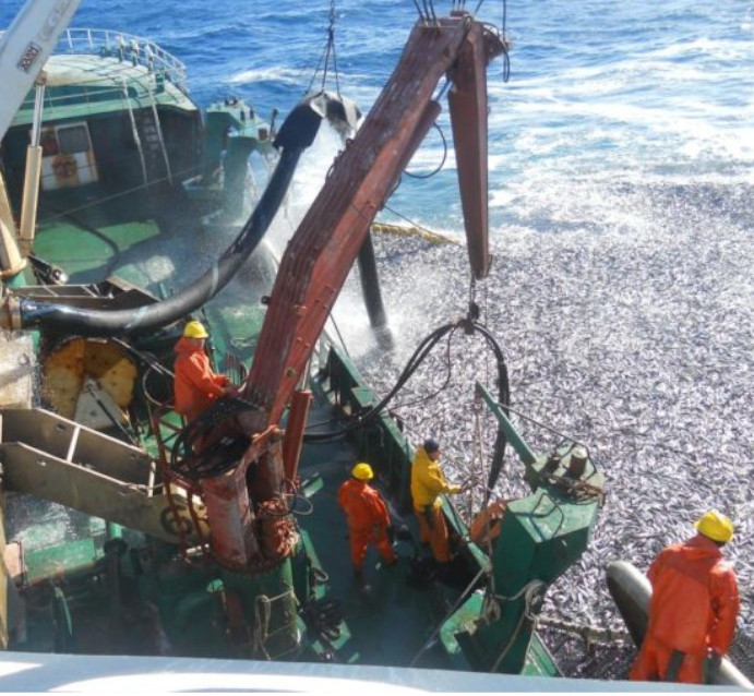 Seafood Media Group - Worldnews - Produce authorizes exploratory ...