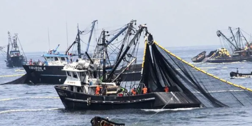 Seafood Media Group - Worldnews - La Niña and its effect on Peruvian ...