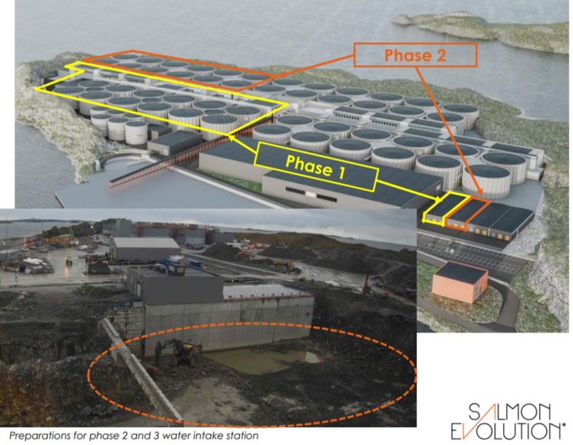 Seafood Media Group - Worldnews - Salmon Evolution ASA: Results for the ...