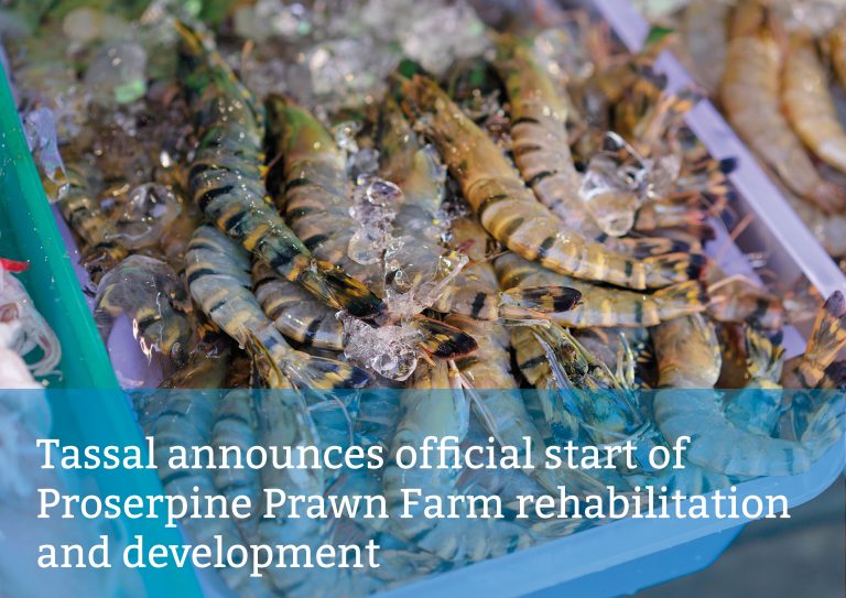 Seafood Media Group - Worldnews - Tassal plans expansion of prawn farm ...