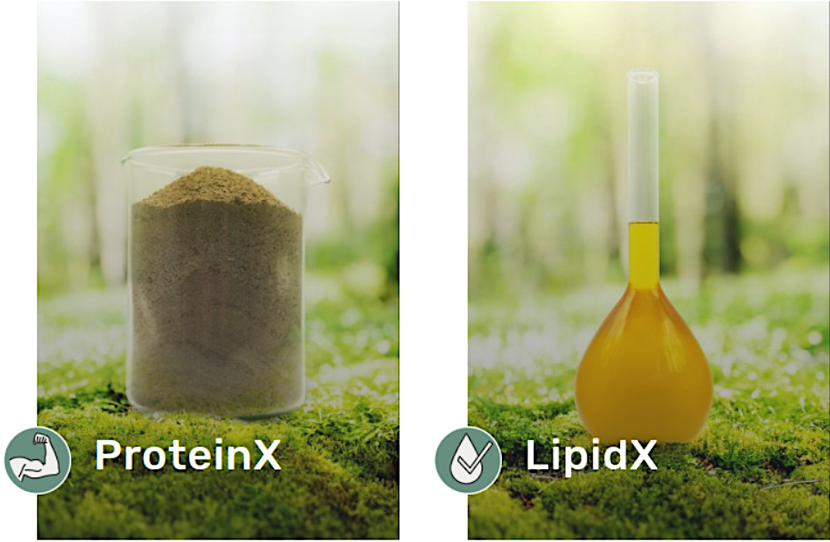 Seafood Media Group - Worldnews - Tyson Foods Announces Partnership ...