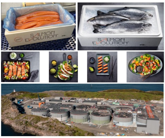 Seafood Media Group - Worldnews - Salmon Evolution ASA: Results for the ...