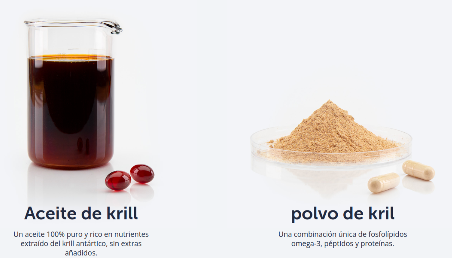 FIS - Compañías y Productos - El auge de la pesca de krill puede ...