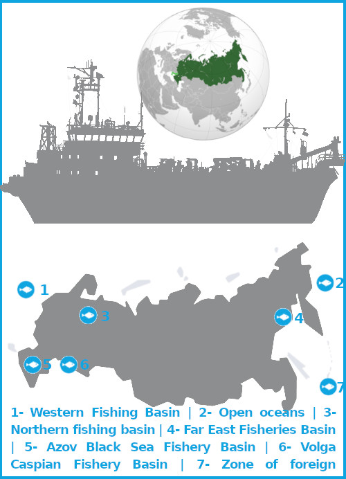 Seafood Media Group - Worldnews - Rosrybolovstvo will hold an auction ...