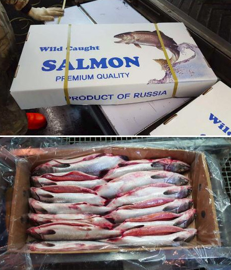 Seafood Media Group - Worldnews - Russia wants to replace Japanese ...