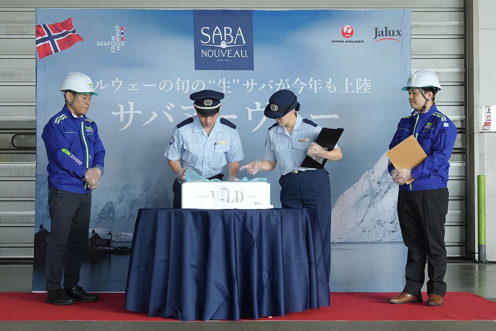 FIS - Companies & Products - This year's first 'Saba Nouveau' mackerel ...