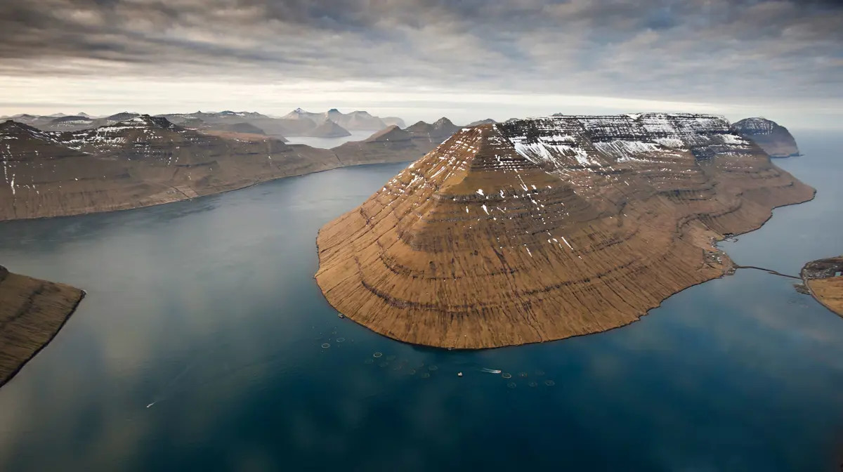 Seafood Media Group - Worldnews - Salmon from the Faroe Islands is ...