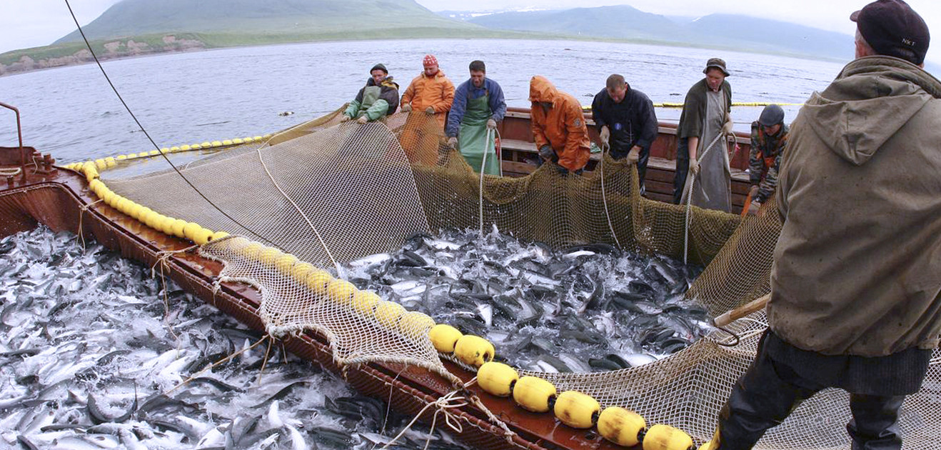 Seafood Media Group - Worldnews - Salmon Season 2024: Kamchatka ...