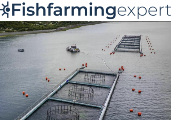 FIS - Worldnews in Brief - Other Media | fishfarmingexpert: Chilean ...