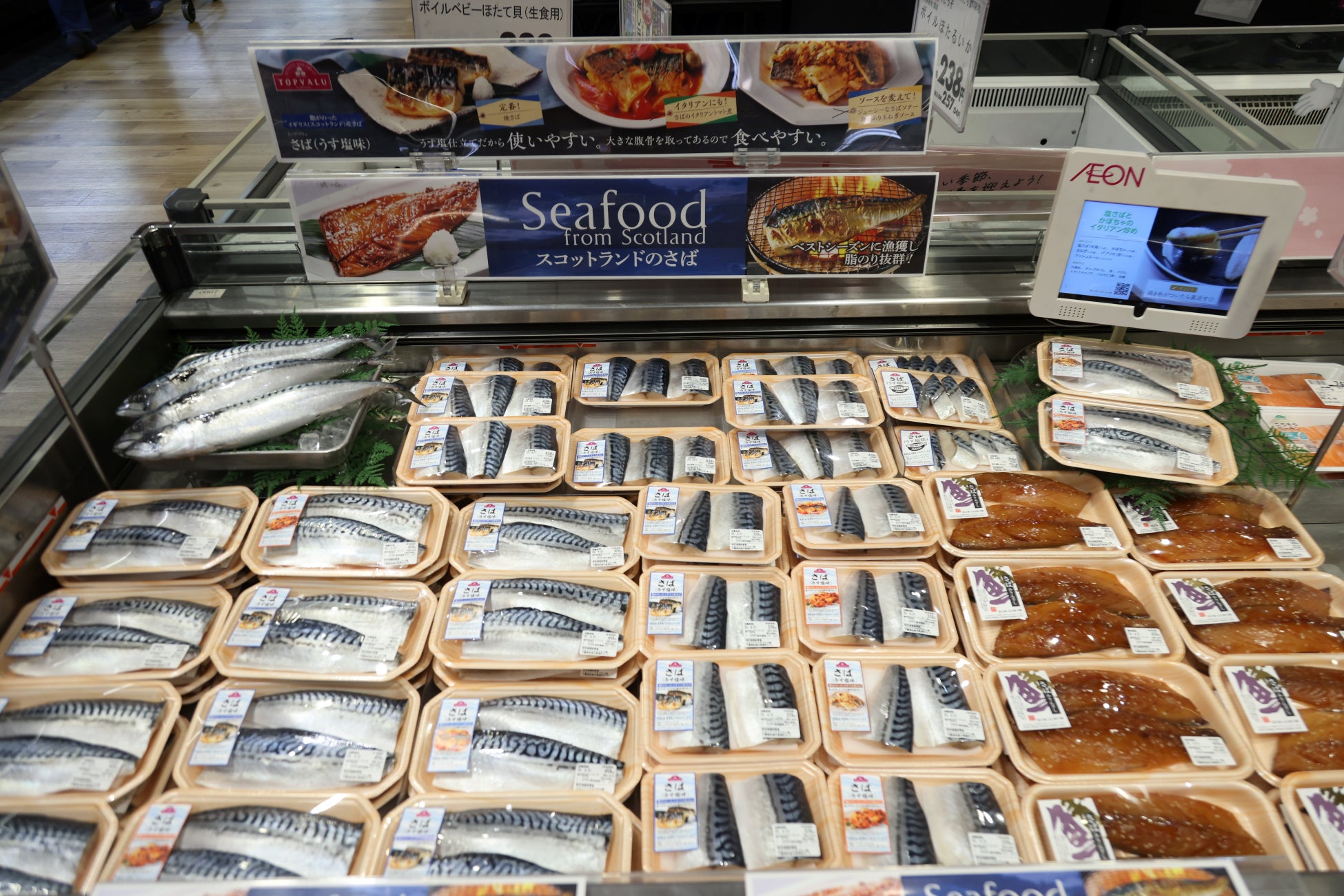 FIS - Companies & Products - Boost for Scottish mackerel as demand from ...