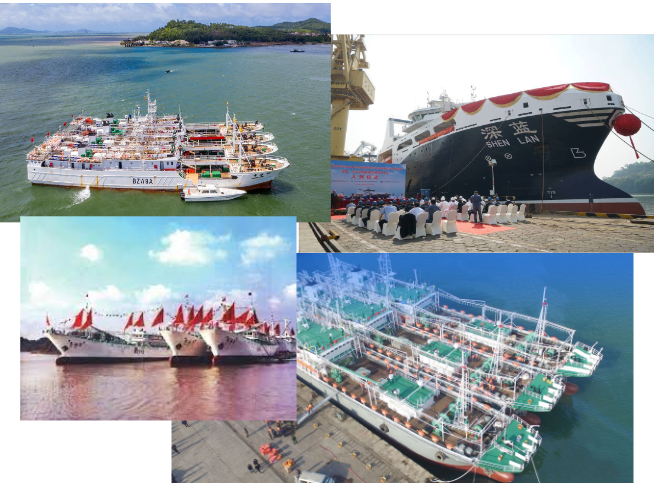 Seafood Media Group - Worldnews - Chinese Government analyzes the ...