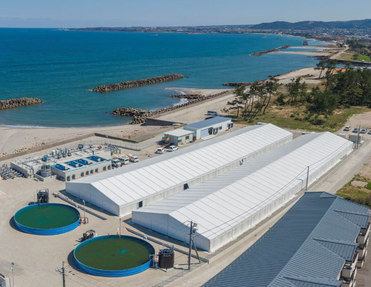 Seafood Media Group - Worldnews - Japan onshore aquaculture takes root ...