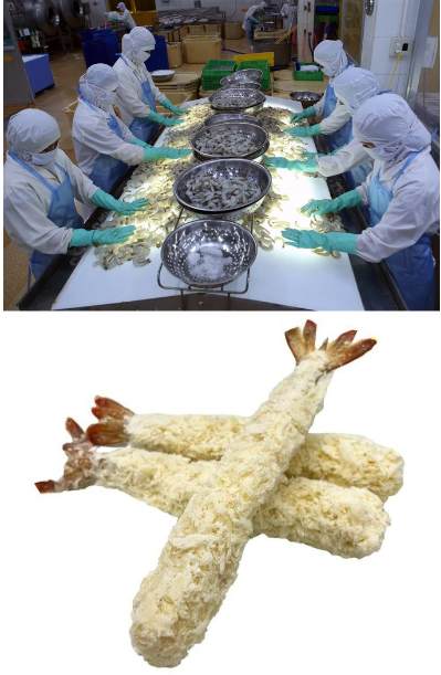 Seafood Media Group - Worldnews - The shrimp war (Lesson 1): The race ...