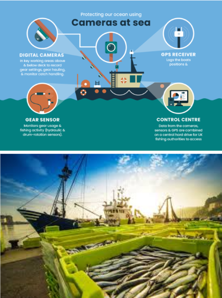 Seafood Media Group - Worldnews - The EU fisheries control system gets ...