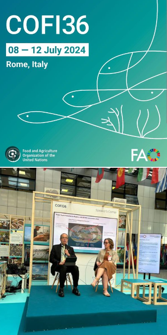 Seafood Media Group - Worldnews - FAO: sustainable fishing for world ...
