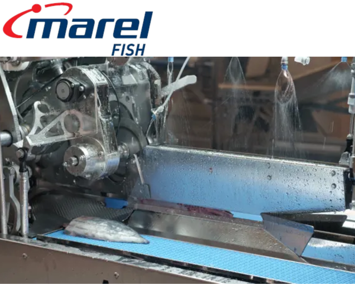 FIS - Companies & Products - Marel is Transforming Tuna Processing