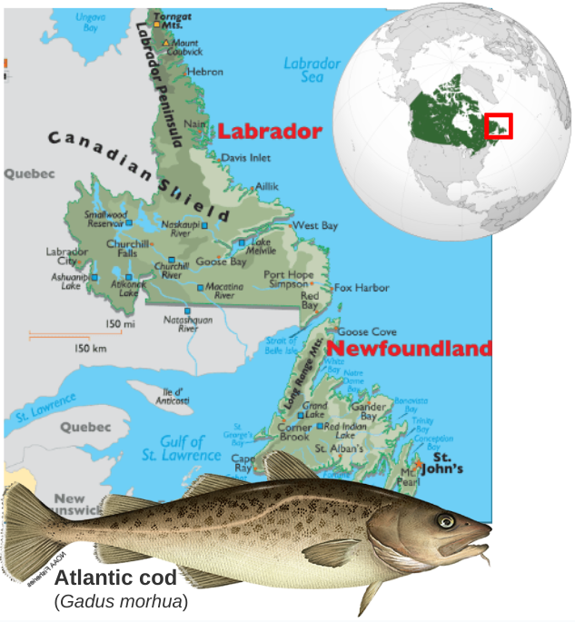 Seafood Media Group - Worldnews - Federal Fisheries Minister Defies DFO ...