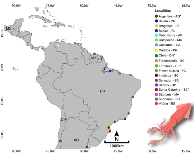 Seafood Media Group - Worldnews - Scientific report: Molecular ...