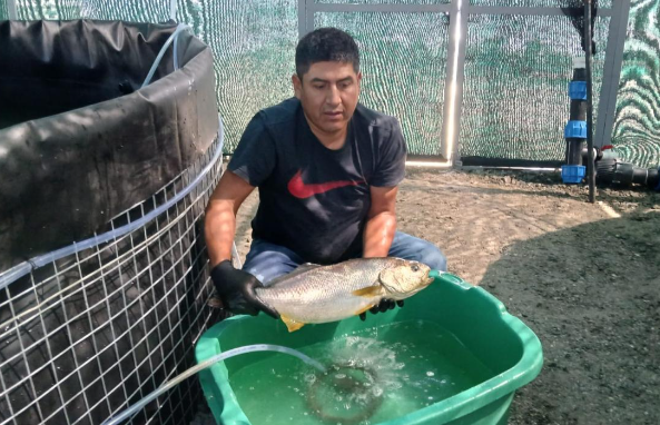 Seafood Media Group - Worldnews - PRODUCE Leads the First Experimental ...