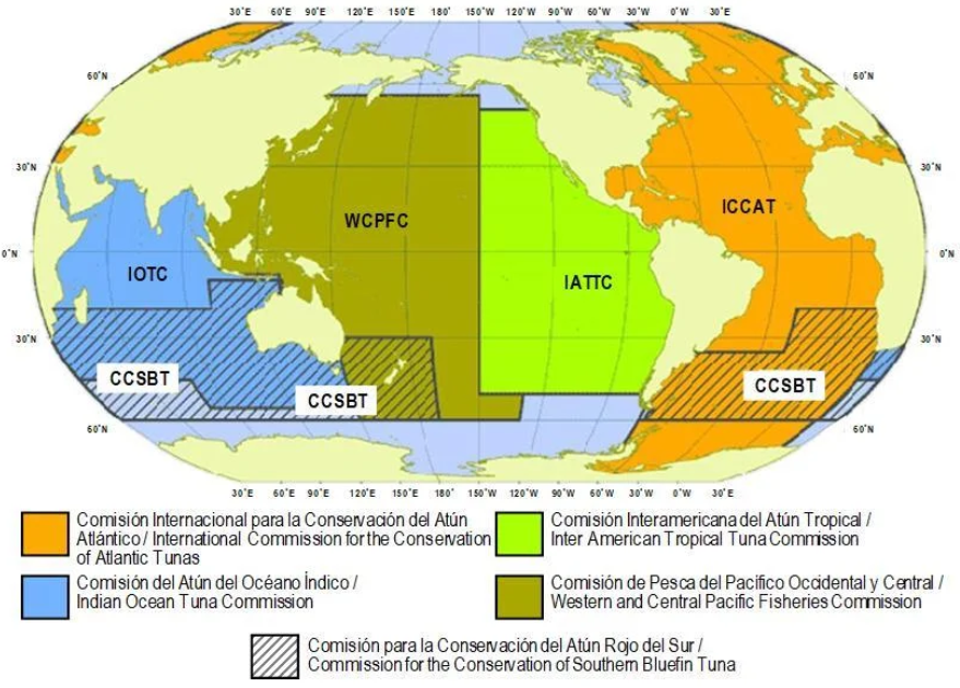 Seafood Media Group - Worldnews - 97% of Global Tuna Catches Come from ...