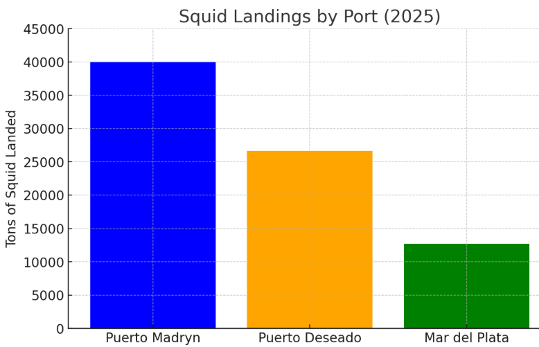 Seafood Media Group - Worldnews - Illex Squid Catch Reaches 80,000 Tons ...