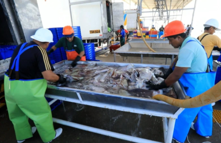 Seafood Media Group - Worldnews - Peruvian Economy Starts the Year with ...