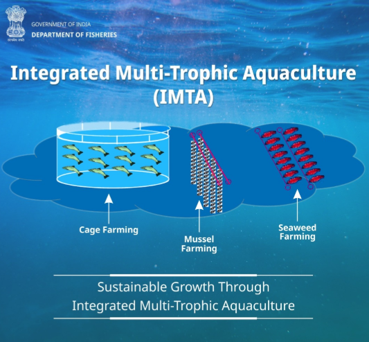 Seafood Media Group - Worldnews - Double the Harvest, Double the Impact ...