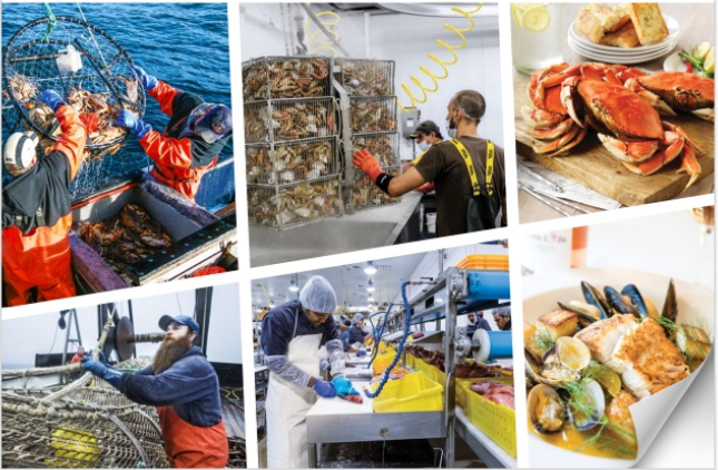 Seafood Media Group - Worldnews - Pacific Seafood's Strategic EU ...