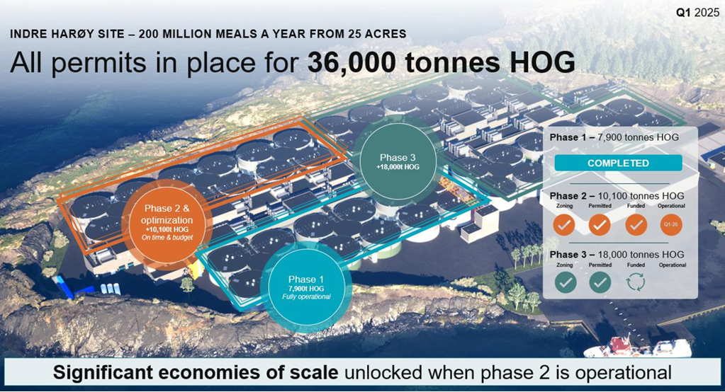 Seafood Media Group - Worldnews - Salmon Evolution Achieves Record ...