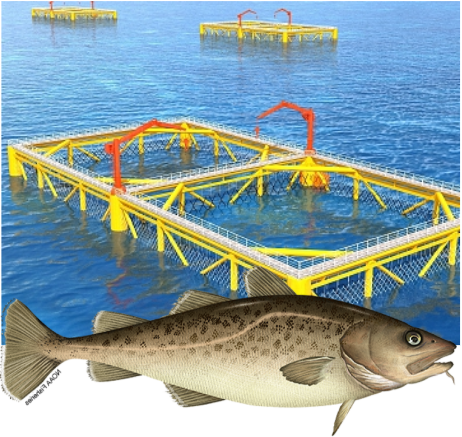 Seafood Media Group - Worldnews - Soaring Prices Propel China's ...