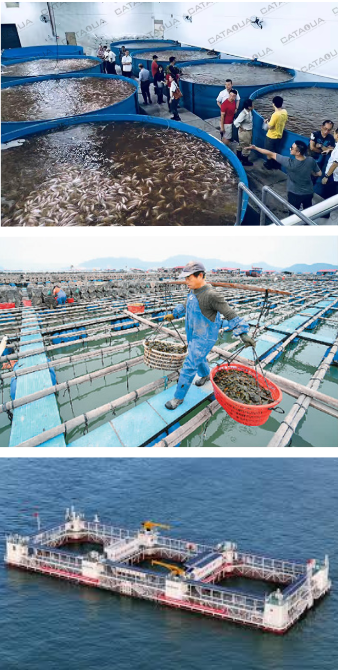 Seafood Media Group - Worldnews - China Forges Dual Path to Seafood ...