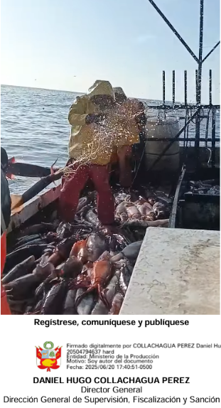 Seafood Media Group - Noticias - PRODUCE Ordena el Cierre de la Pesca ...