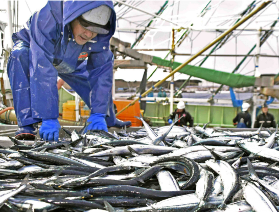 Seafood Media Group - Worldnews - Soaring Prices and Scarcity Threaten ...