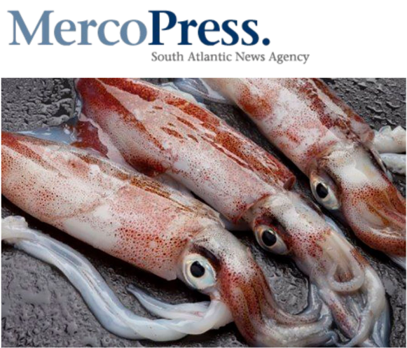 FIS - Worldnews in Brief - IN BRIEF - New Study Links Squid Abundance ...