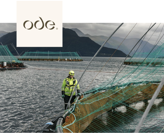 Seafood Media Group - Worldnews - Atlantic Cod Joins Global ...