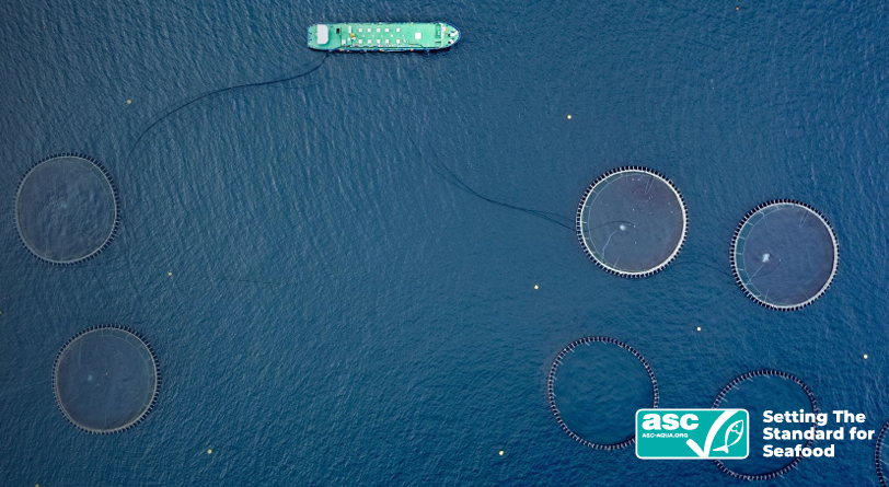 Seafood Media Group - Worldnews - Atlantic Cod Joins Global ...