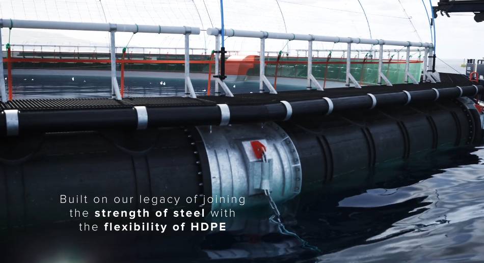 Seafood Media Group - Worldnews - Hardingsmolt Becomes First Buyer of ...