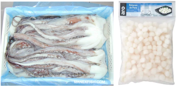 Seafood Media Group - Noticias - Impulso a la Sostenibilidad Pesquera ...