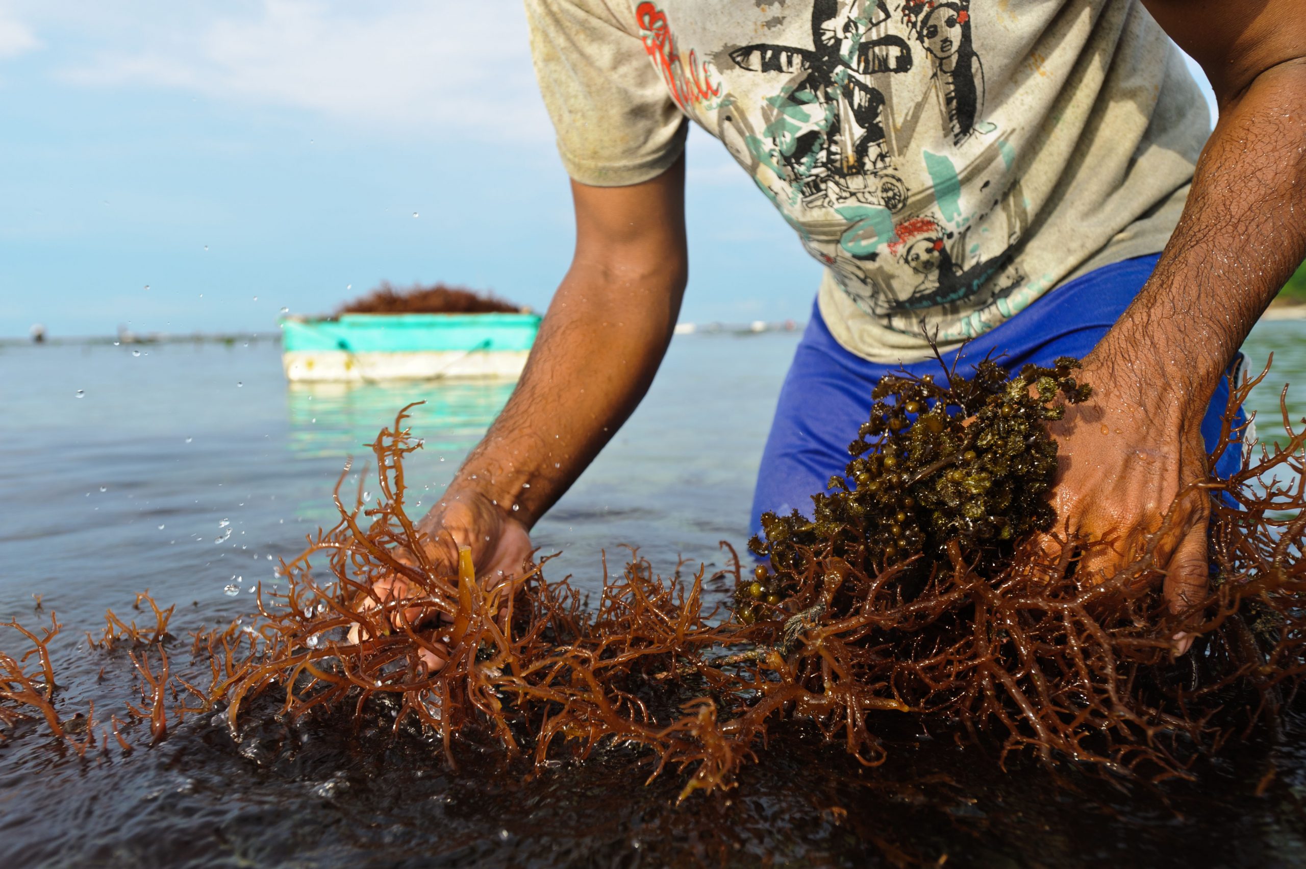 Seafood Media Group - Worldnews - Explainer: What is the blue economy?